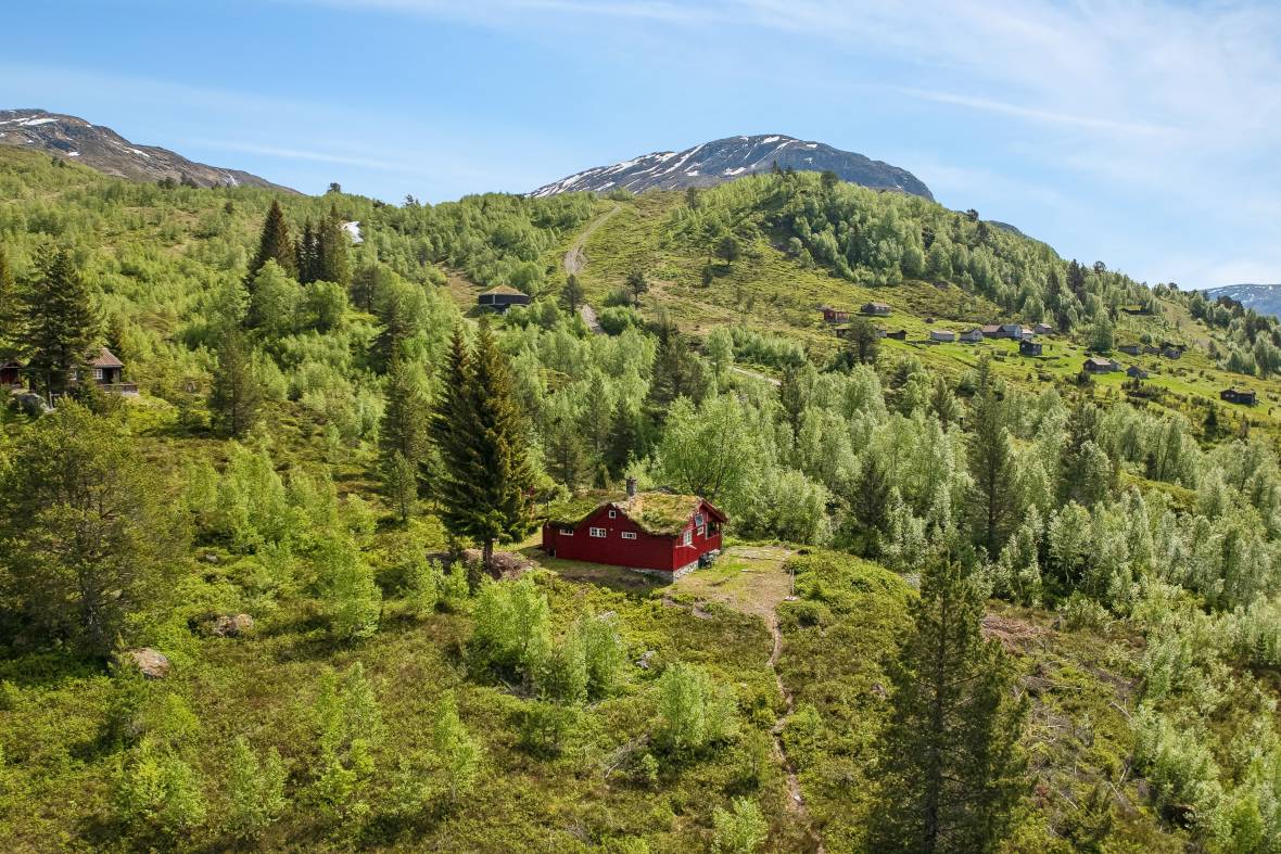 Sjarmerende seterhytte med fantastisk beliggenhet | Turparadis sommer ...